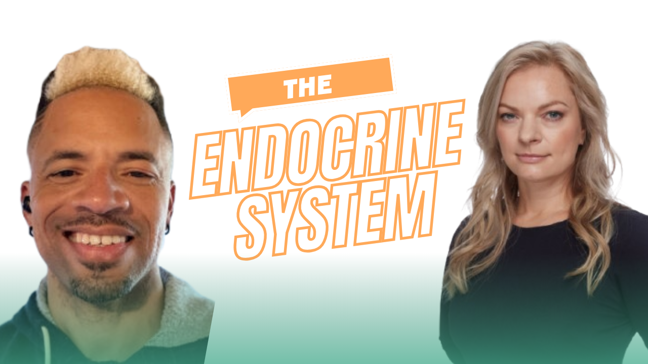 43. Endocrine System Basics and Care w/ Dr. Claire Merrifield – Dr ...